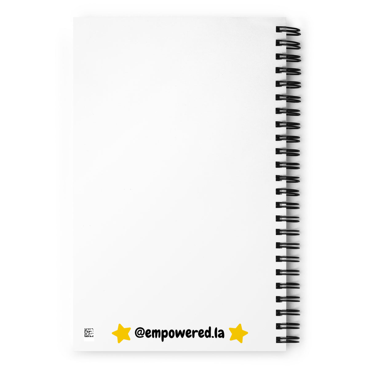 "Star Light Star Bright, Pay Our Teachers Right" Notebook – Renaissance 21